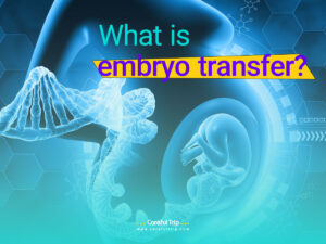 What is embryo transfer?